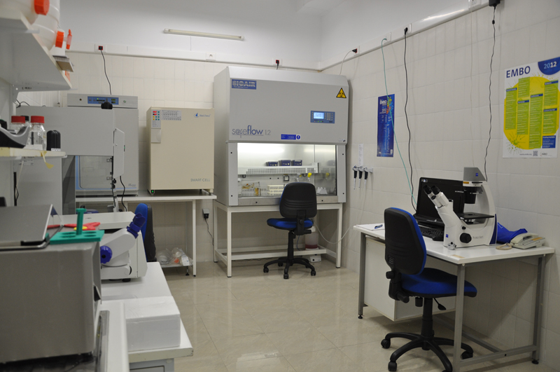 Lab Space | Microscopy