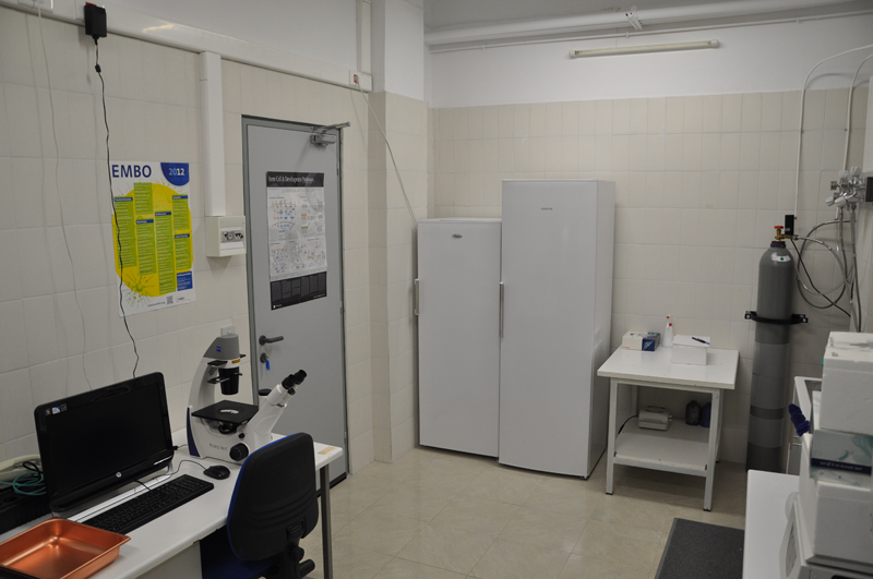 Lab Space | Microscopy