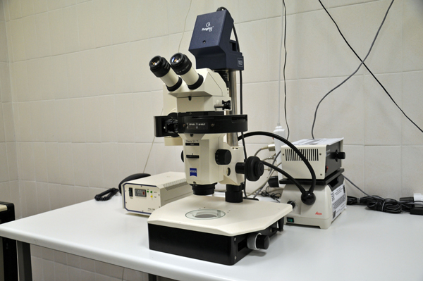Instrumentation / Facilities | Microscopy